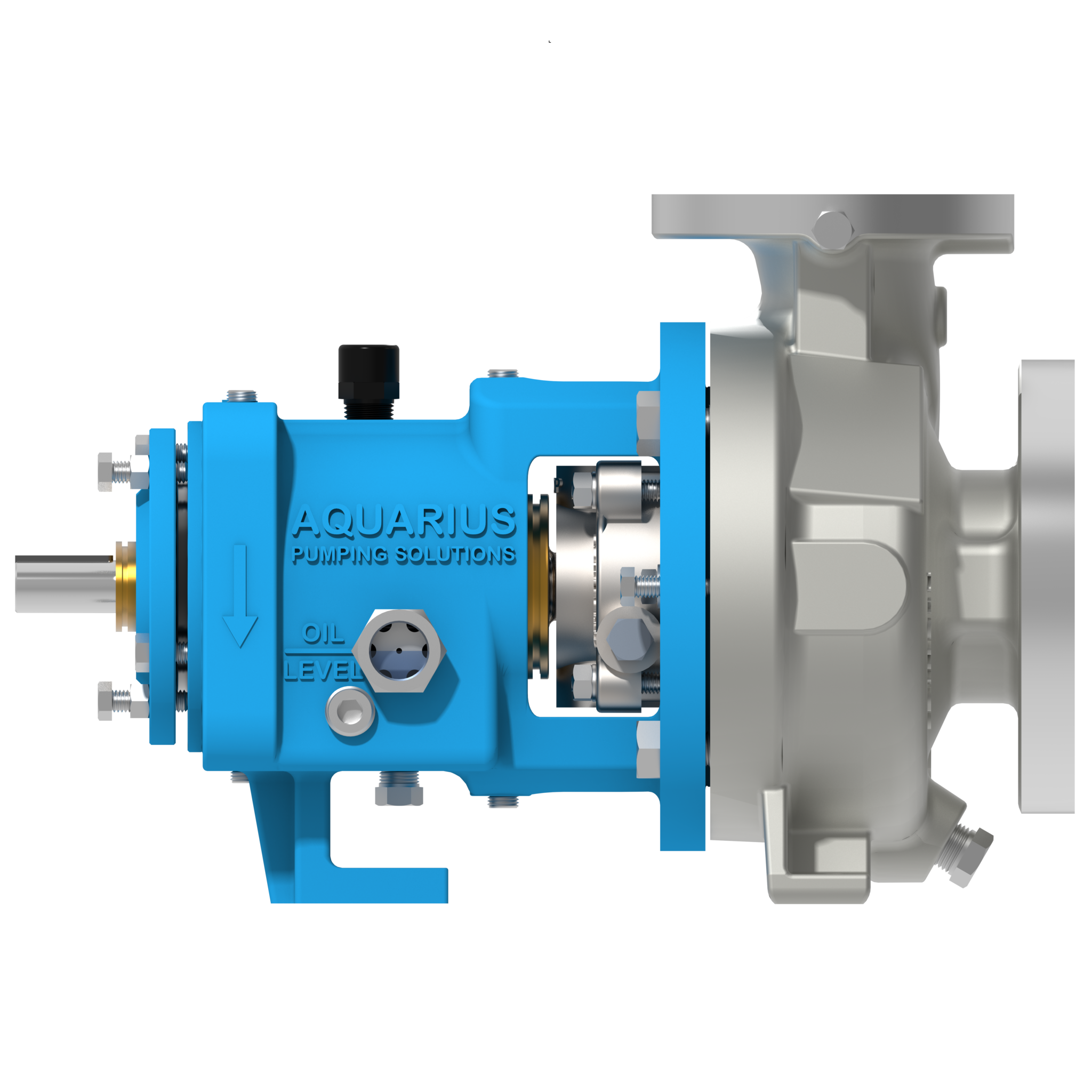 ANSI End-Suction Centrifugal Process Pump (A196 Series) – Aquarius